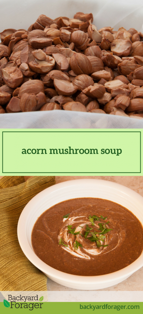 Acorn Mushroom Soup Recipe - Backyard Forager